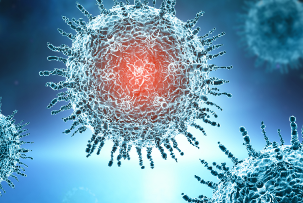 “ARBOVIRUS: PATOGENI D’IMPORTAZIONE CON RISCHIO DI CIRCOLAZIONE ...